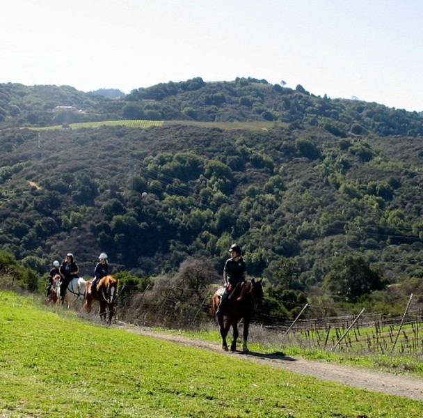 Garrod Farms | Visit San Jose